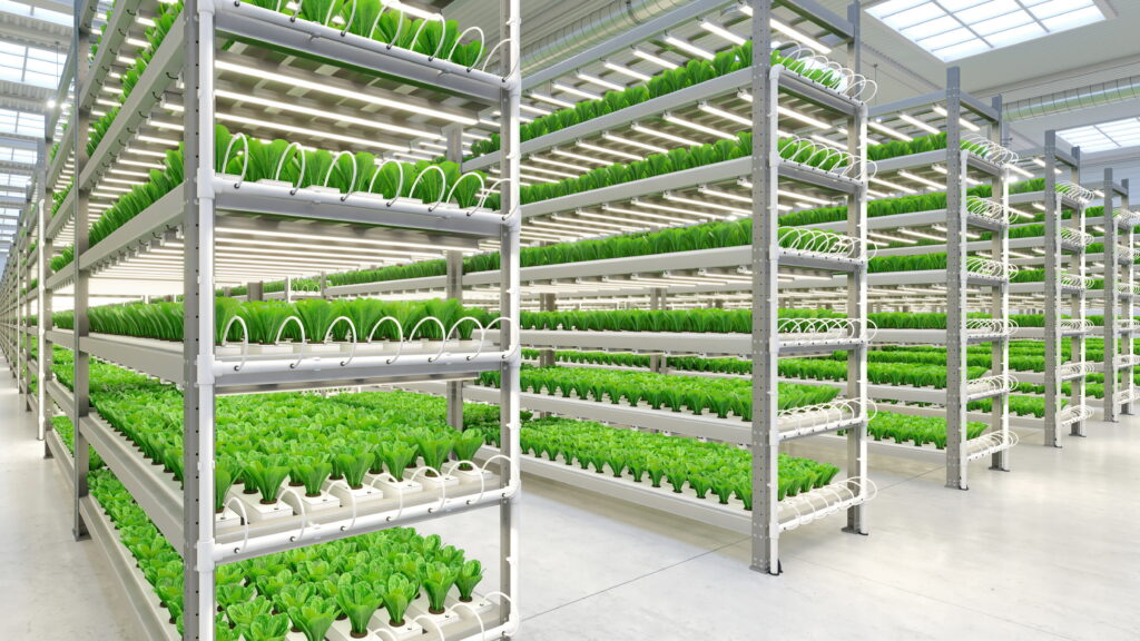 Vertical Indoor Farming Archives - Hexience