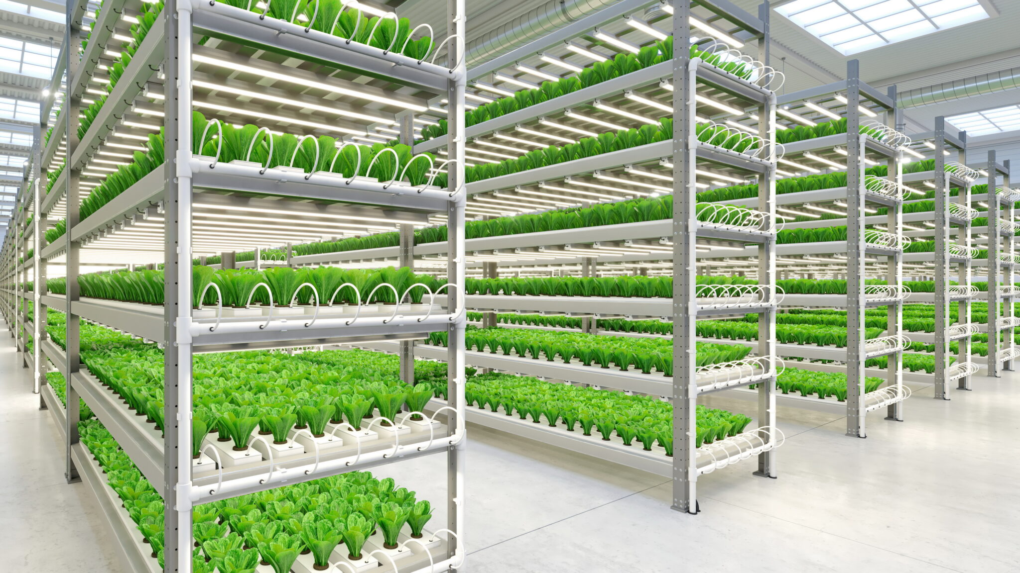 How Movable Vertical Farming Racks Revolutionize Indoor Farming - Hexience